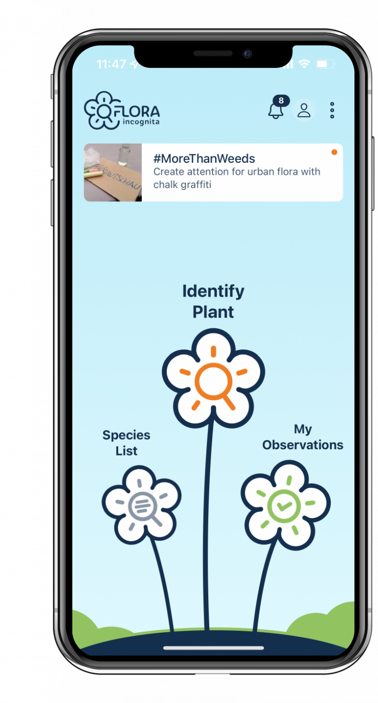 Flora Incognita | EN – The Flora Incognita app – Interactive plant ...
