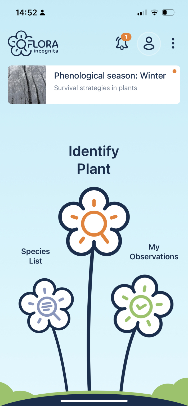 Screenshots and Logos – Flora Incognita | EN