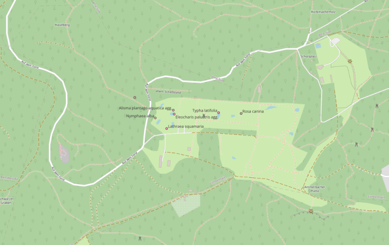 How to export your Flora Incognita records to a custom map ...