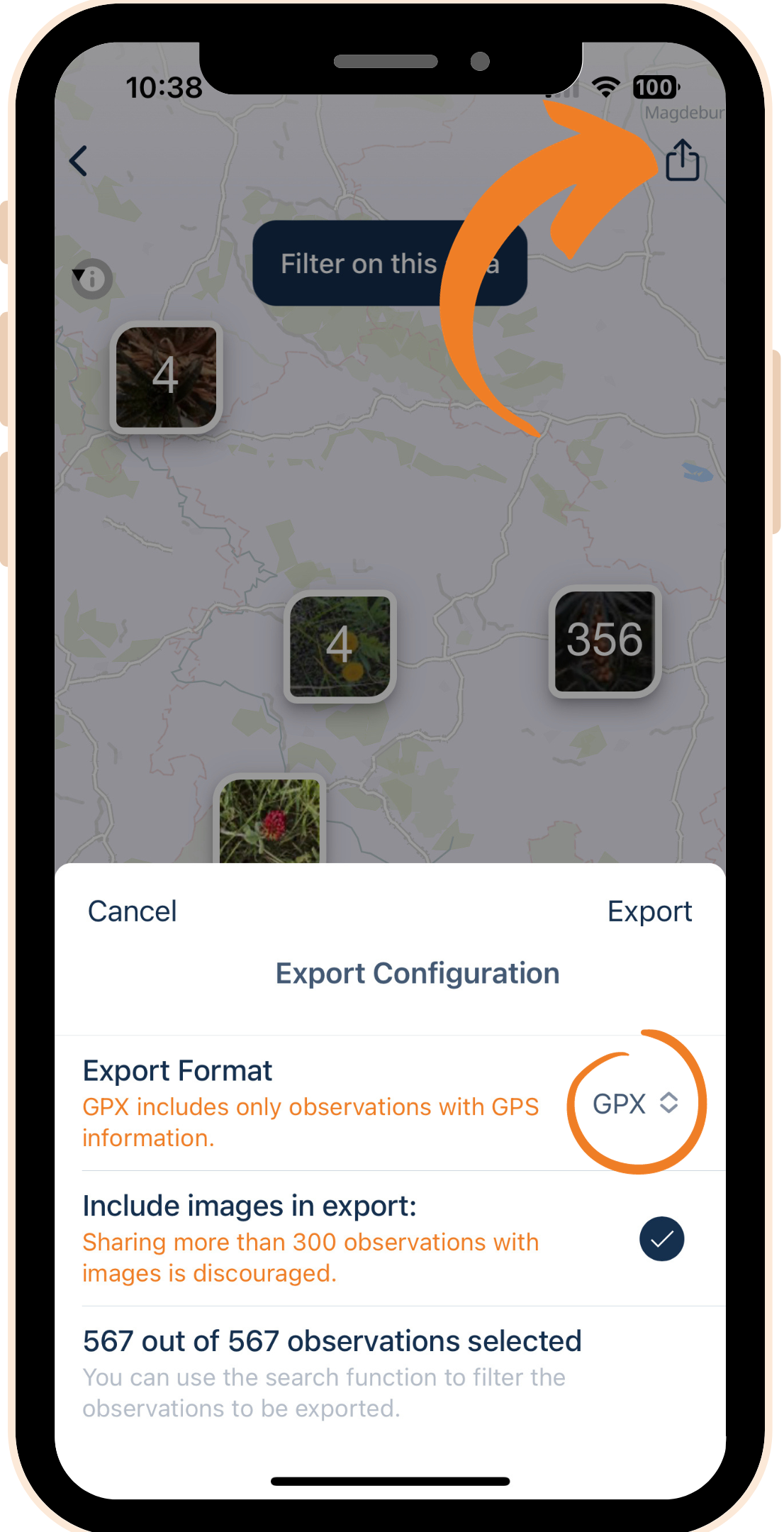 How to export your Flora Incognita records to a custom map (OpenStreetMap, QGIS, R and Google ...
