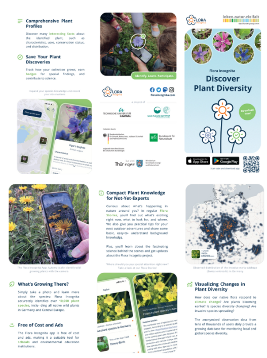 Flyers – Flora Incognita | EN